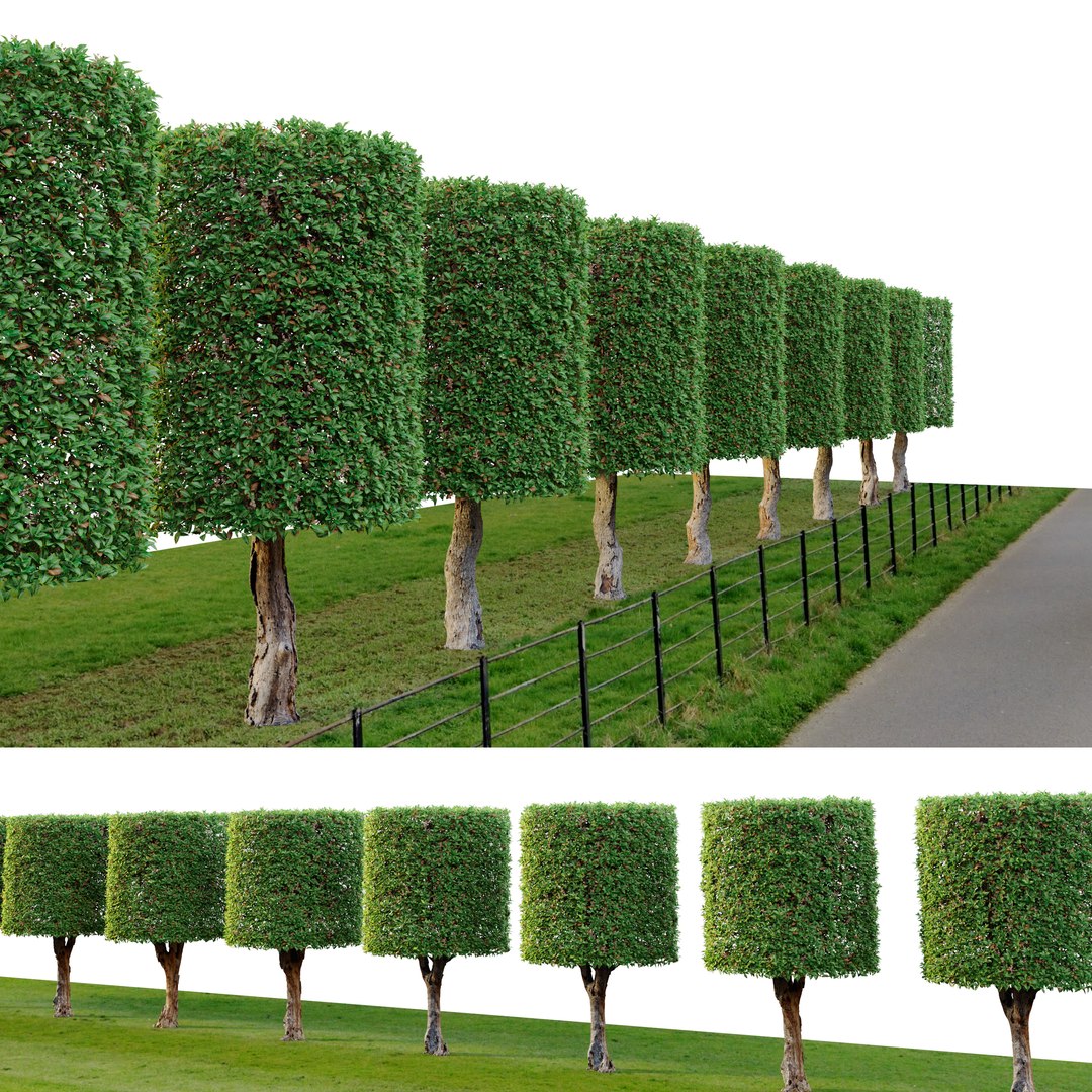 3D Cylindrical shape shrub model - TurboSquid 1931263