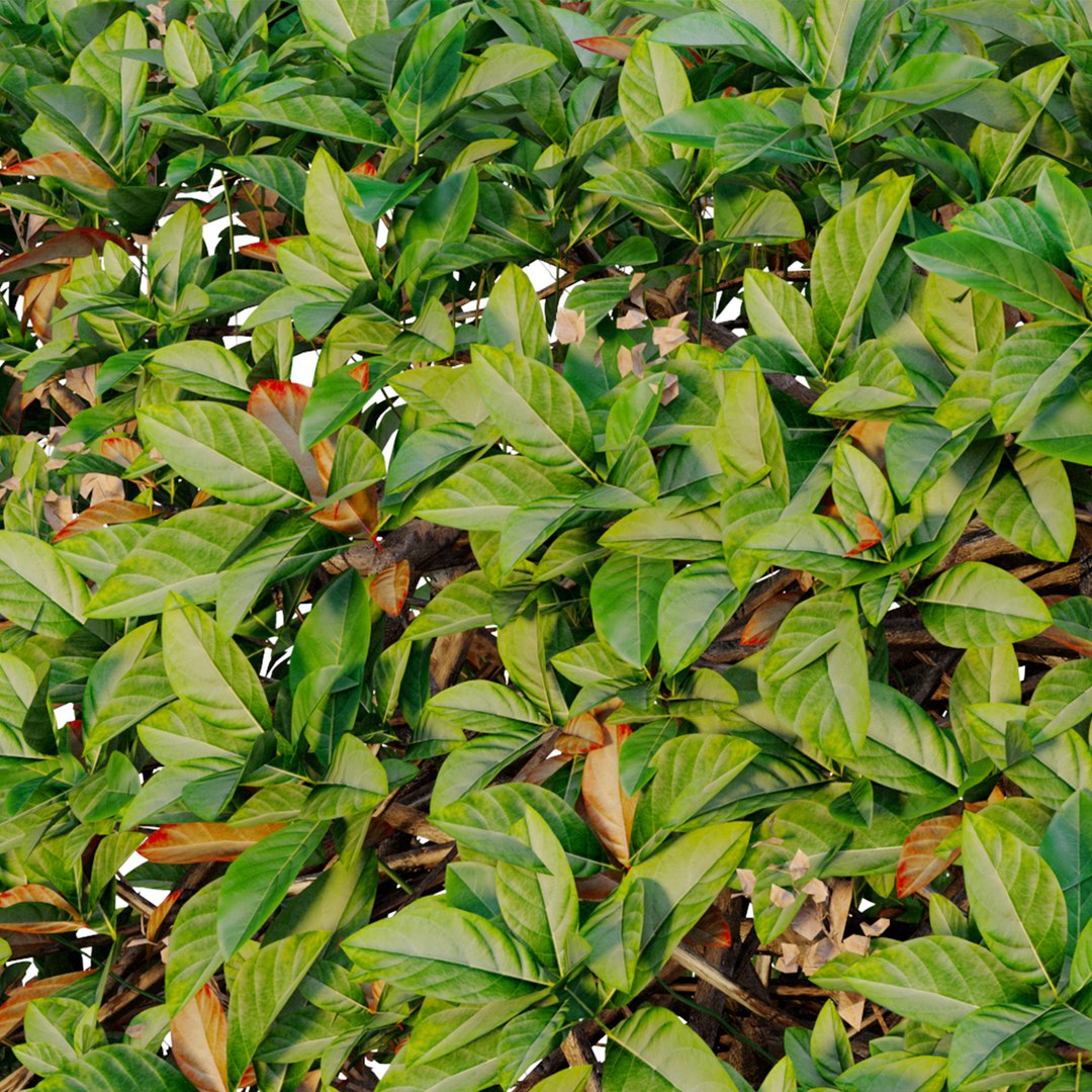 3D Cylindrical shape shrub model - TurboSquid 1931263