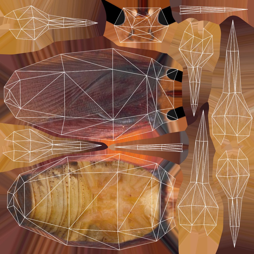 Cockroach 3D Model - TurboSquid 1780138