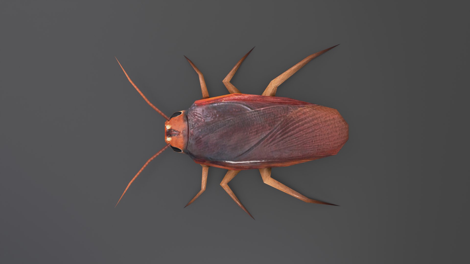 Cockroach 3D Model - TurboSquid 1780138