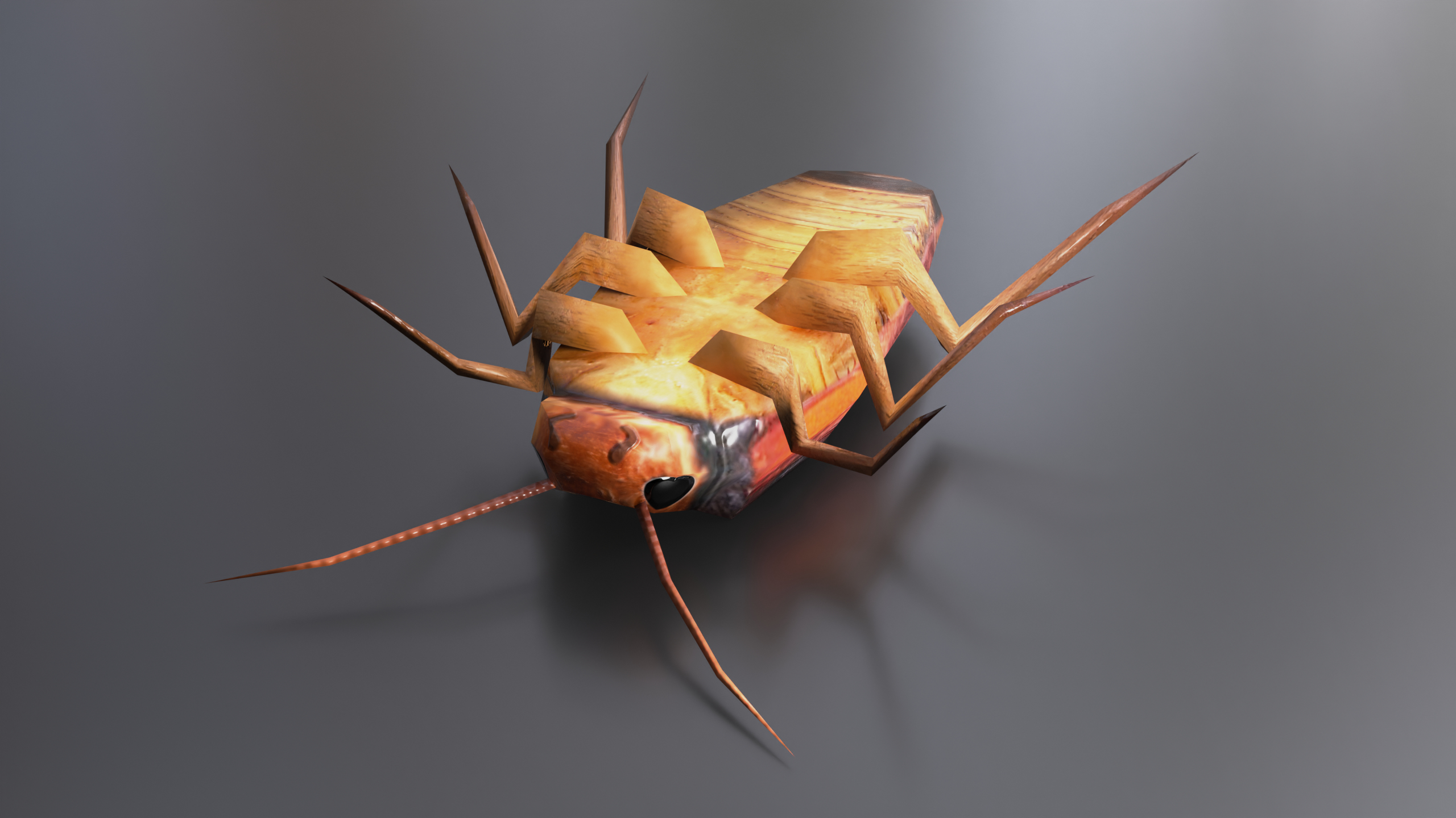 Cockroach 3D model - TurboSquid 1780138