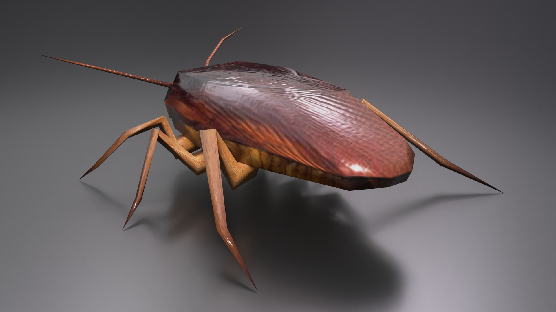 Cockroach 3D model - TurboSquid 1780138