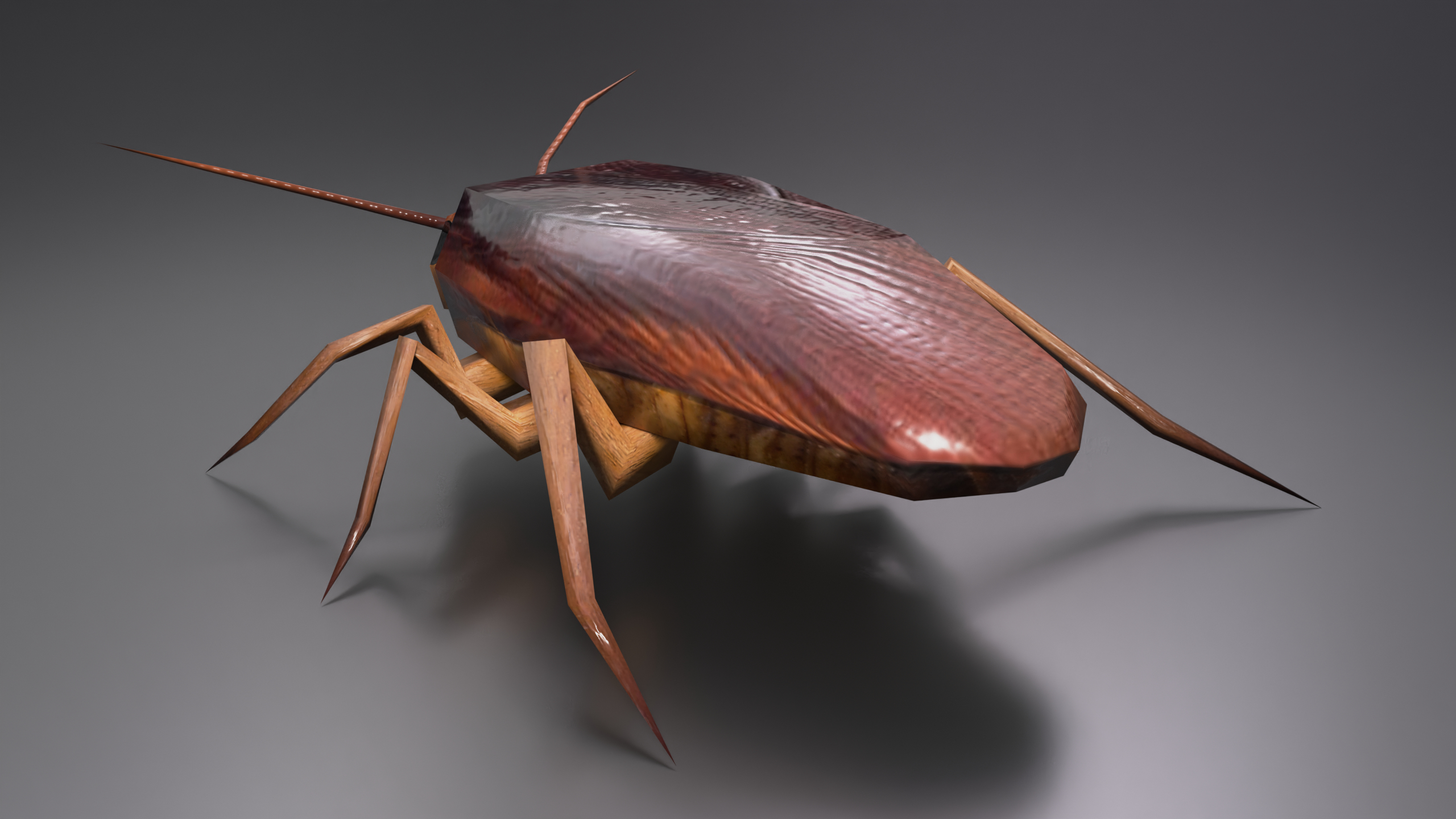Cockroach 3D model - TurboSquid 1780138