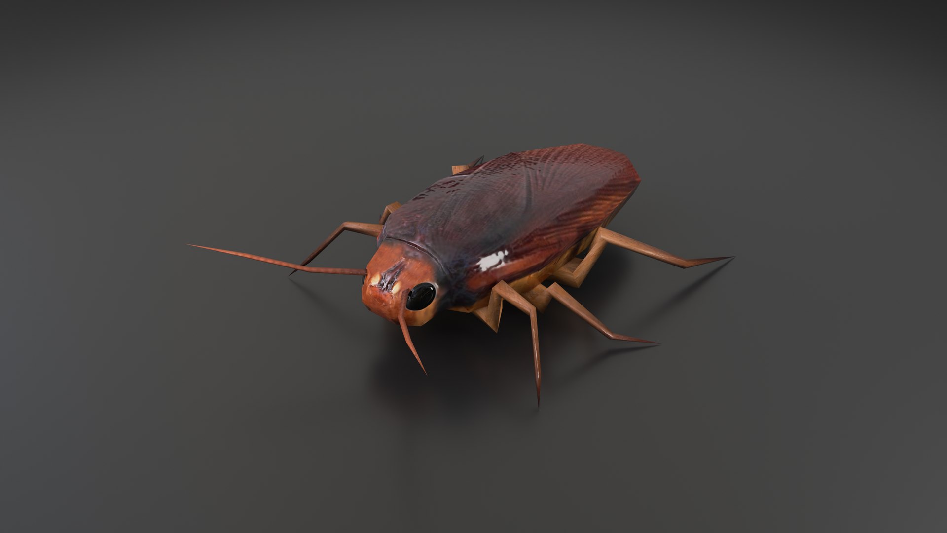 Cockroach 3D Model - TurboSquid 1780138