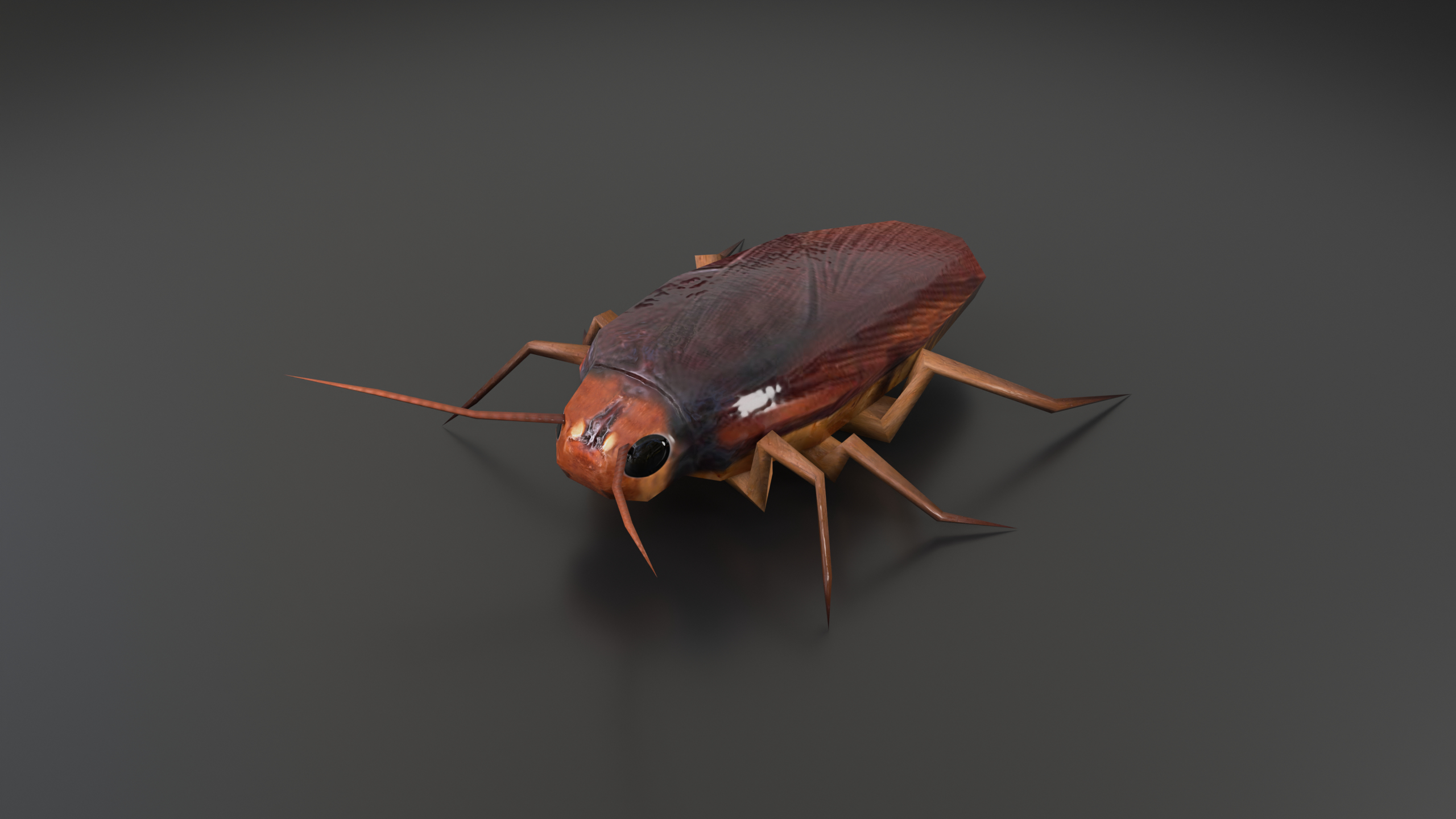 Cockroach 3D model - TurboSquid 1780138