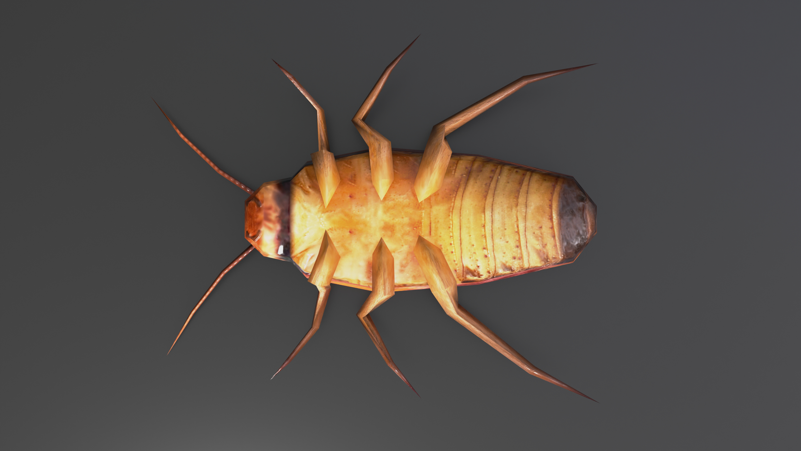 Cockroach 3D model - TurboSquid 1780138