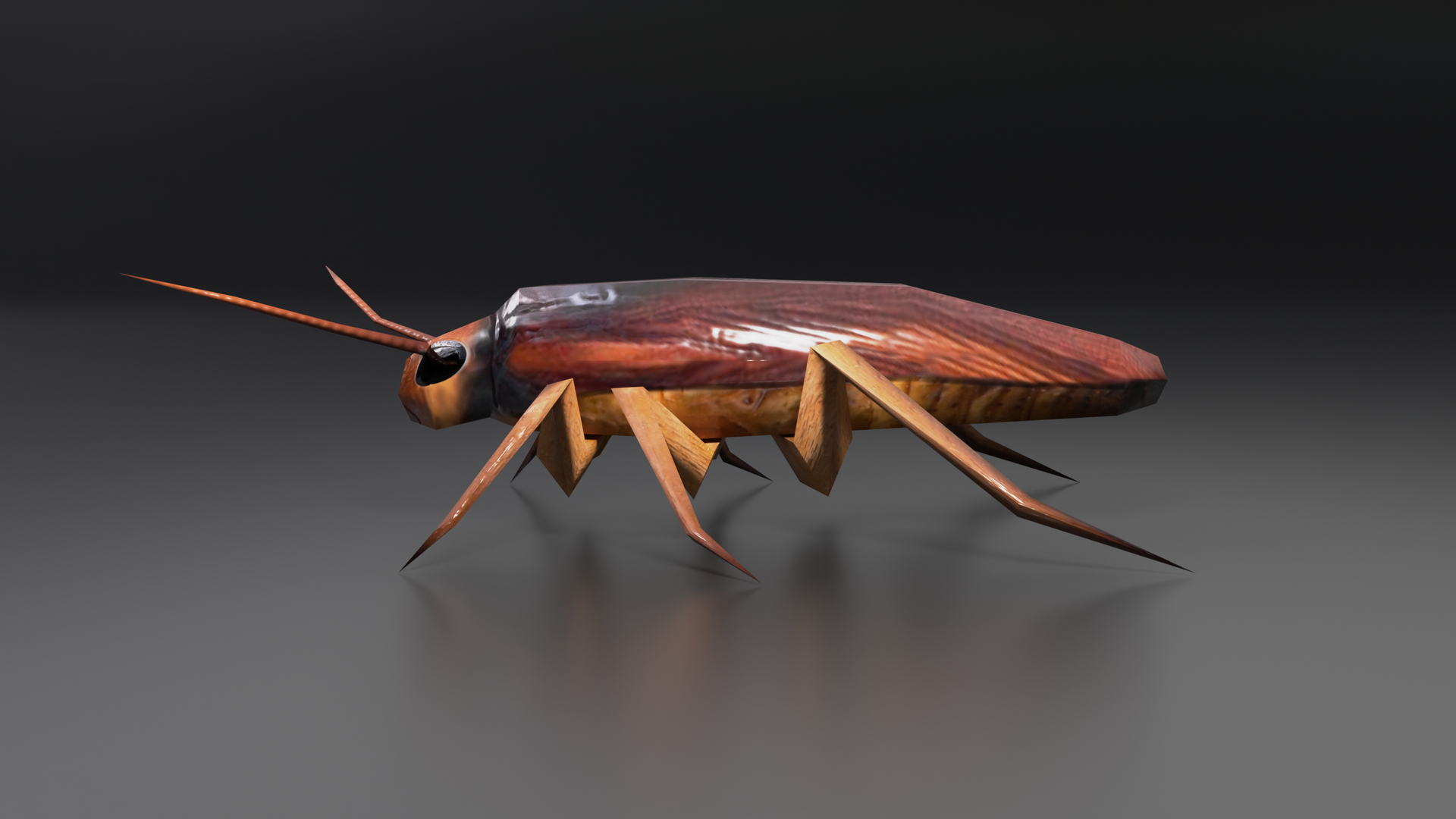 Cockroach 3D model - TurboSquid 1780138