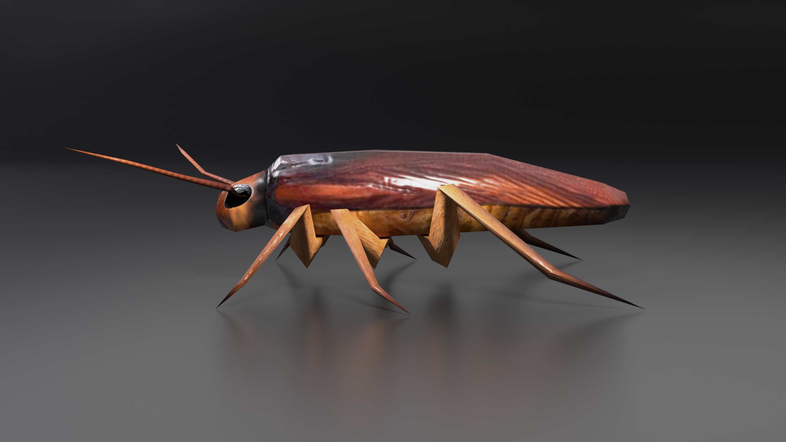 Cockroach 3D model - TurboSquid 1780138