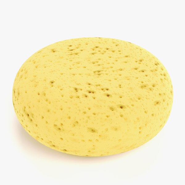 Sponge 3D Models for Download | TurboSquid