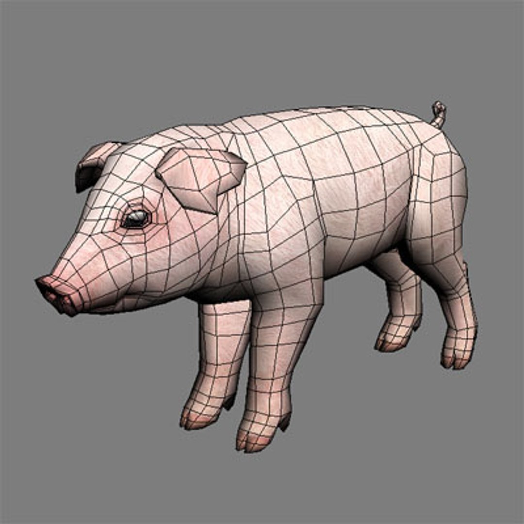 3d pig