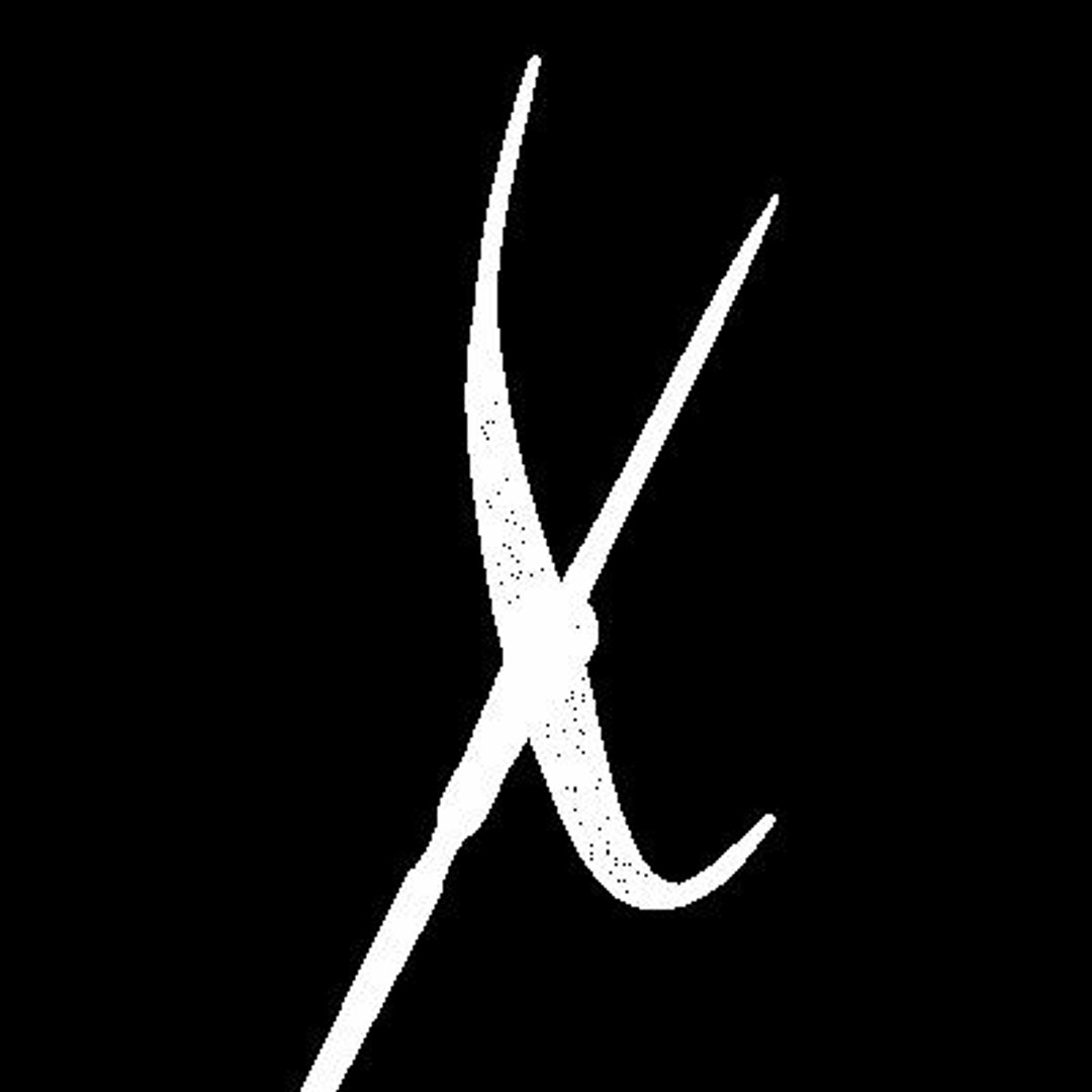 3d Medieval Pole Arm