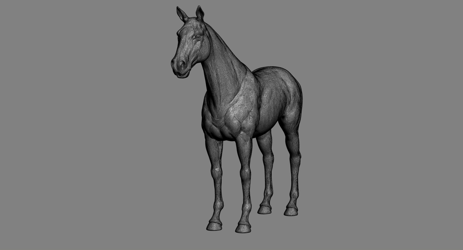 Horse Base Mesh 3D Model - TurboSquid 1162656