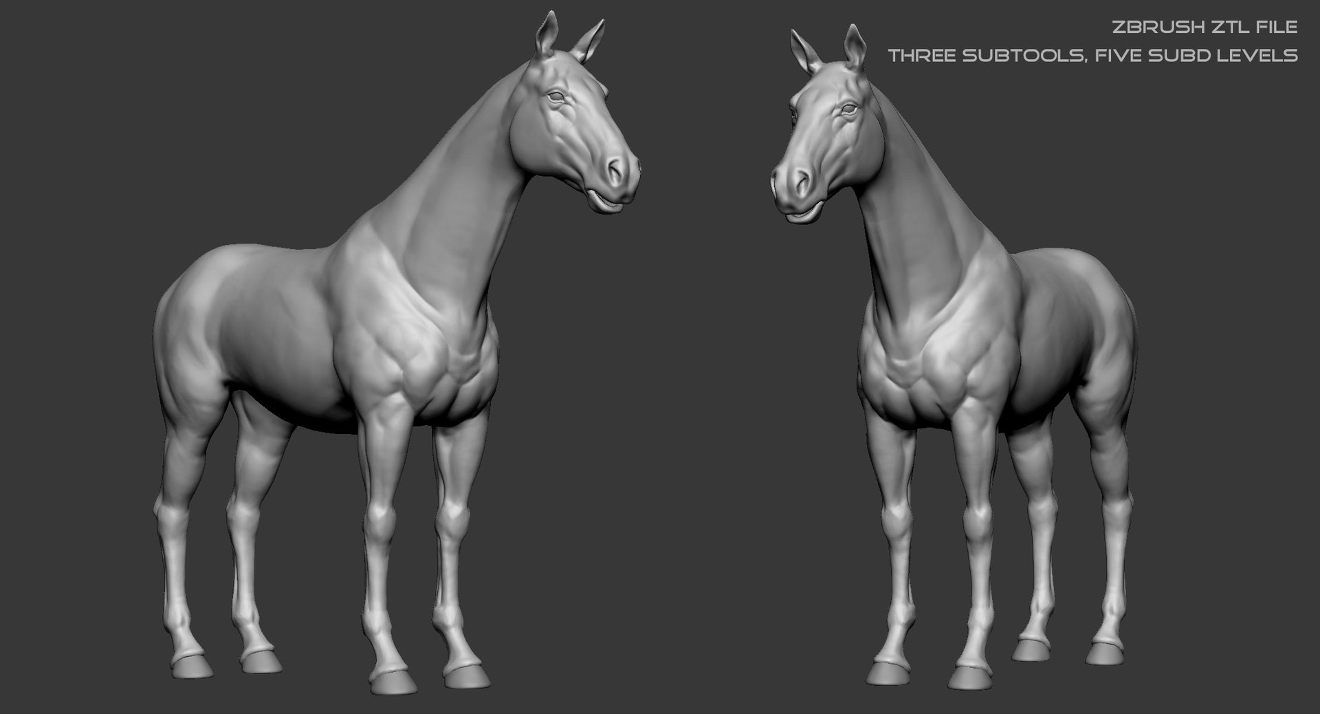 Horse Base Mesh 3D Model - TurboSquid 1162656