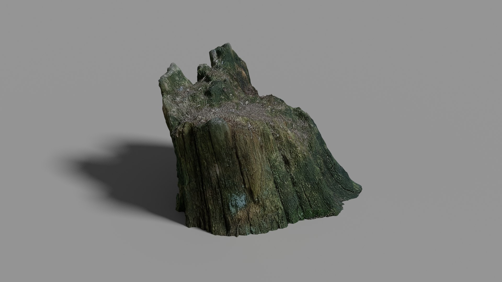 3D Model Old Tree Stump - TurboSquid 1291923