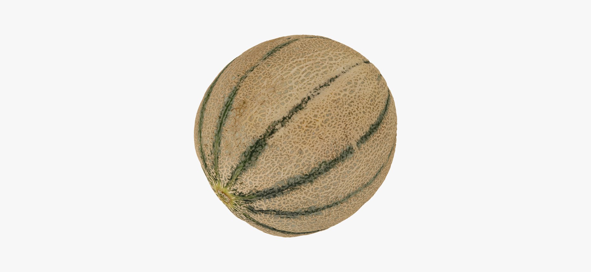 3D Melons Collection 02 - 3 models RAW Scans - TurboSquid 1830438