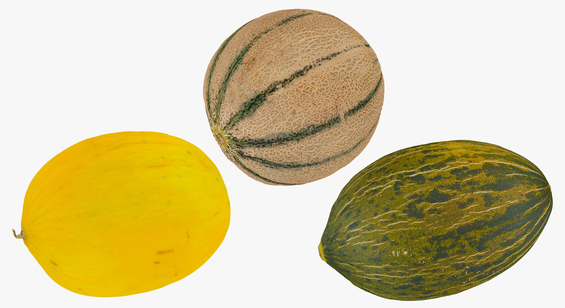 3D Melons Collection 02 - 3 Models RAW Scans - TurboSquid 1830438
