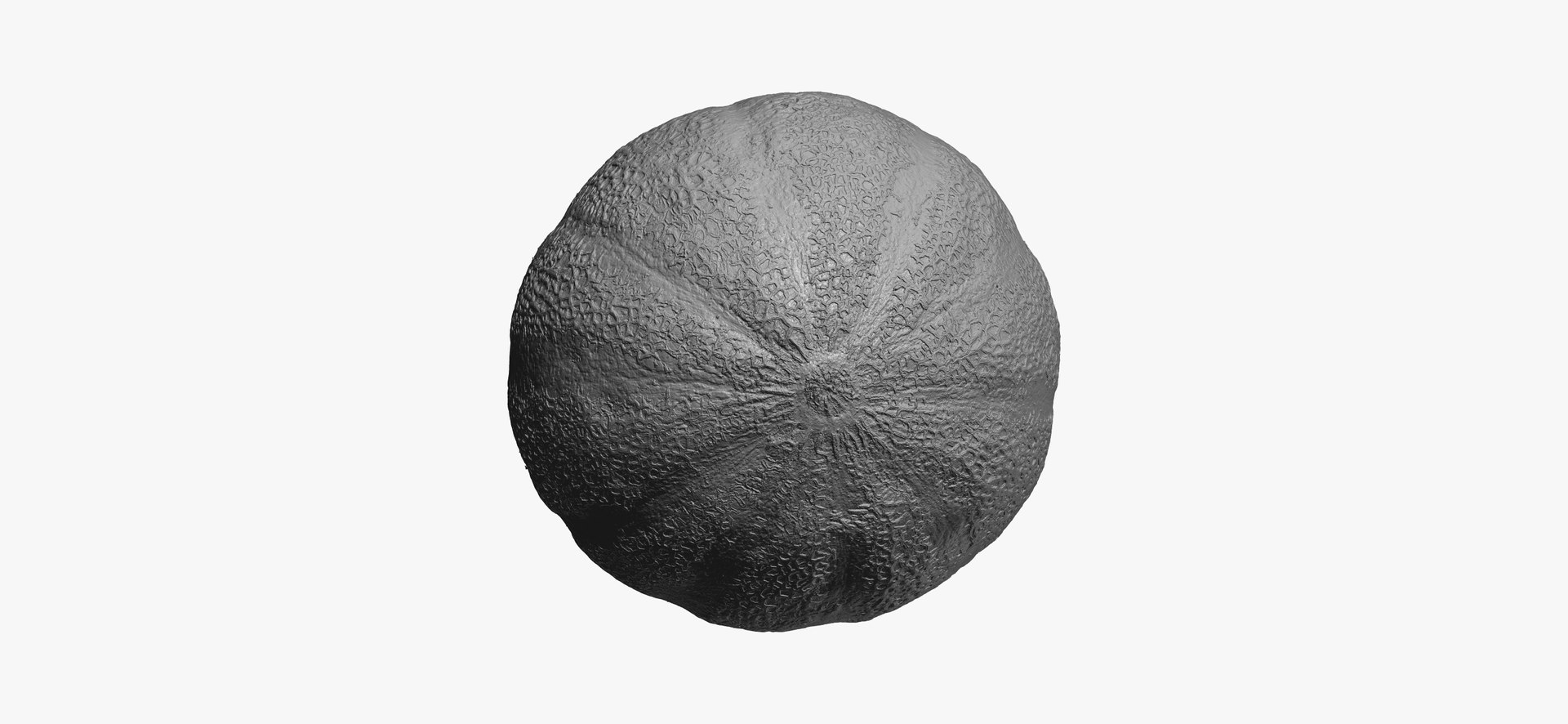 3D Melons Collection 02 - 3 models RAW Scans - TurboSquid 1830438