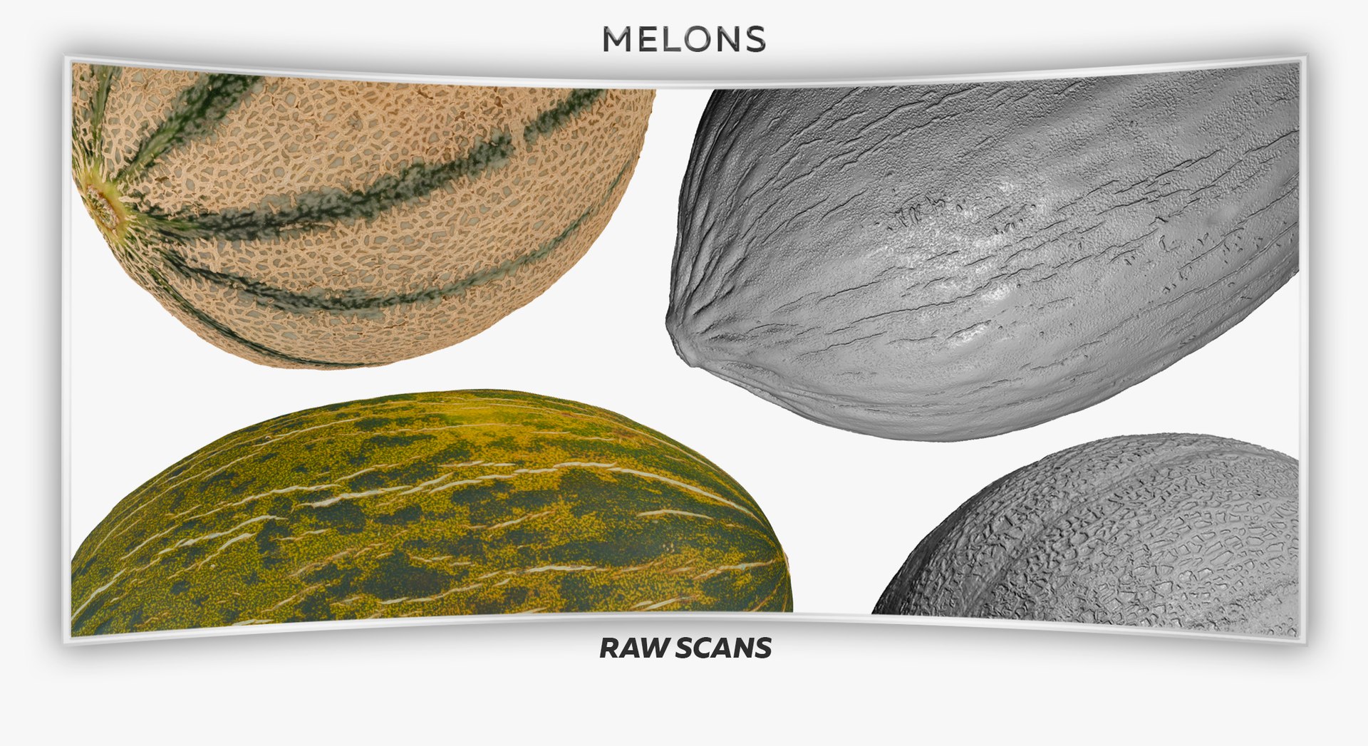 3D Melons Collection 02 - 3 Models RAW Scans - TurboSquid 1830438