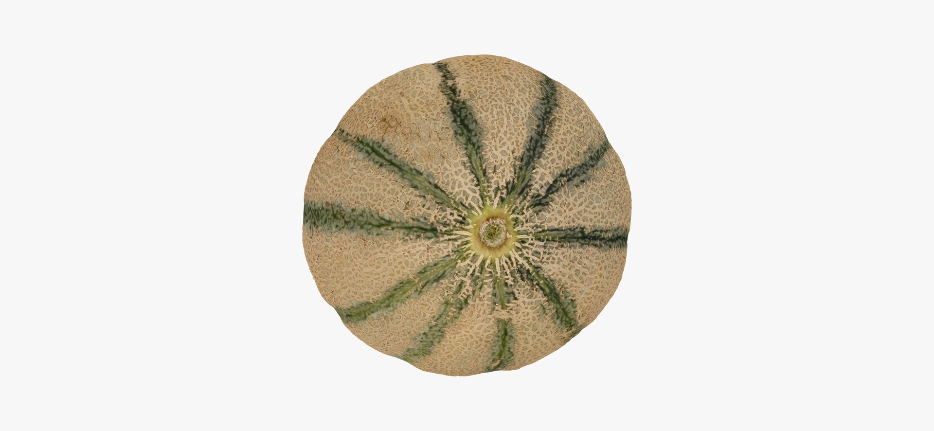 3D Melons Collection 02 - 3 models RAW Scans - TurboSquid 1830438