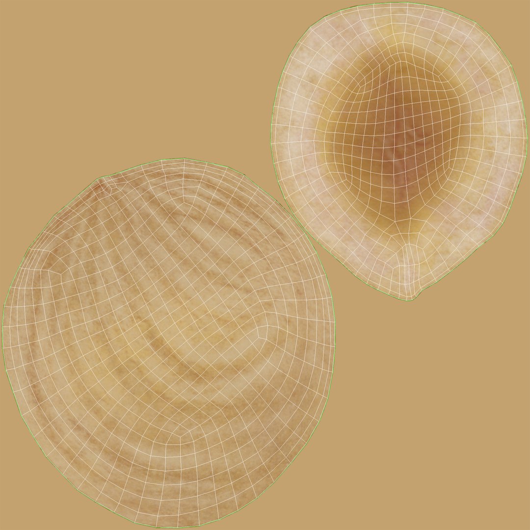 Hazelnut 4 3D - TurboSquid 1846714