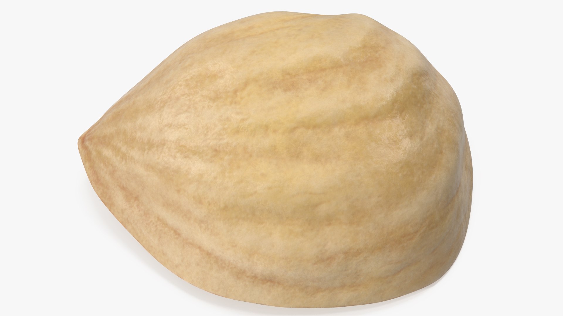 Hazelnut 4 3D - TurboSquid 1846714