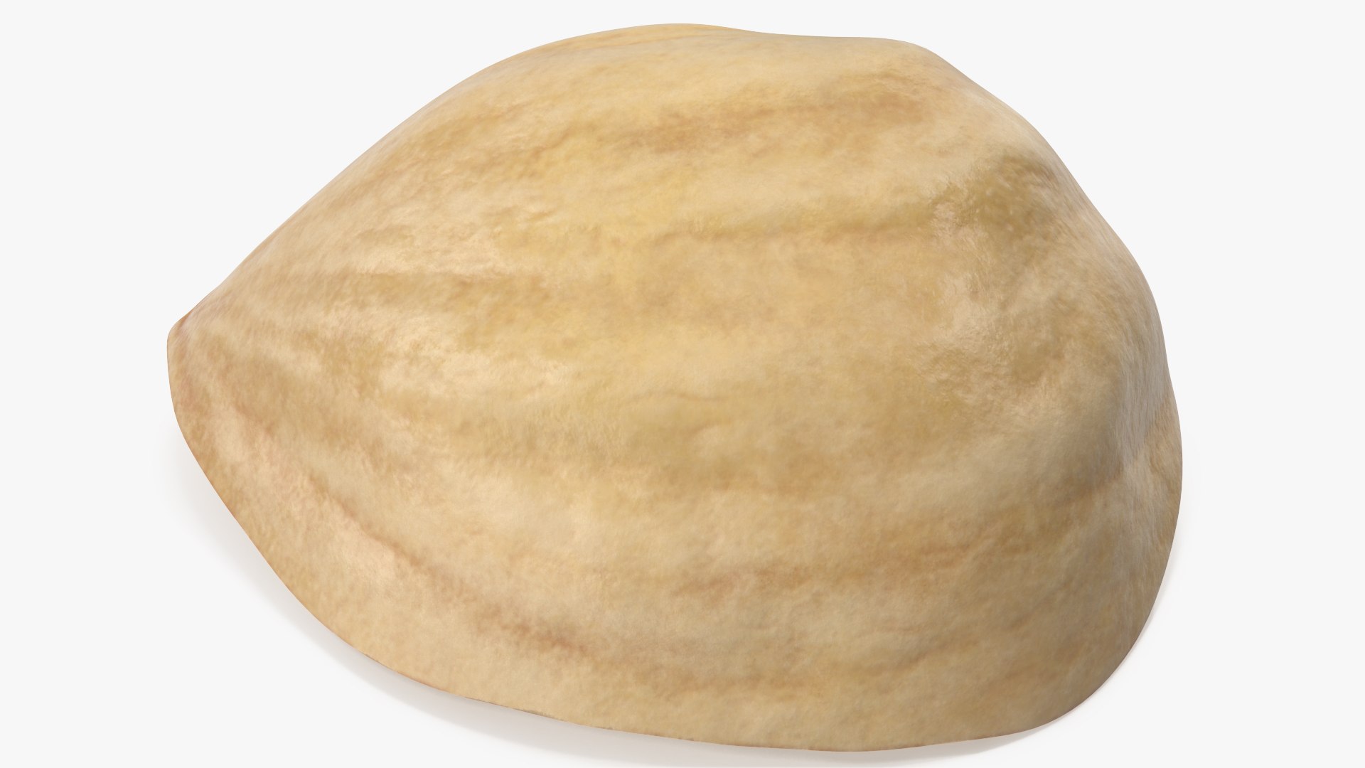Hazelnut 4 3D - TurboSquid 1846714