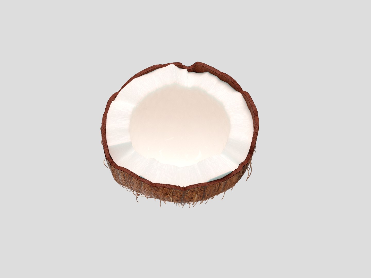 3D Model Coconut Whole And Party On Scene - TurboSquid 1762946