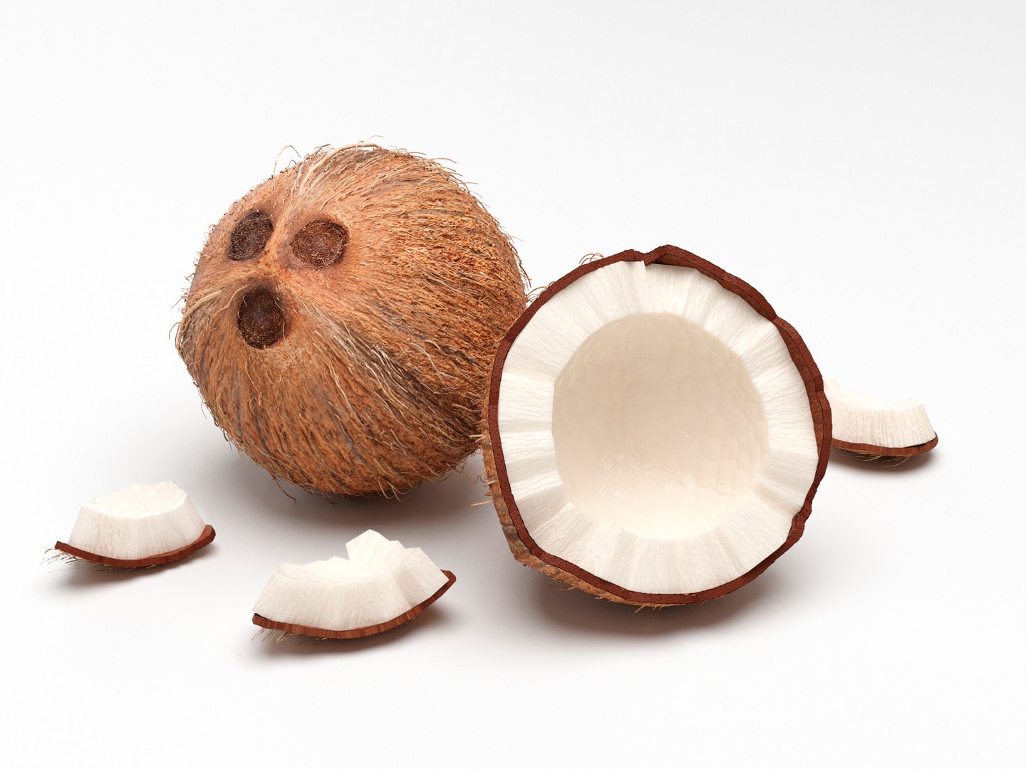 3D Model Coconut Whole And Party On Scene - TurboSquid 1762946