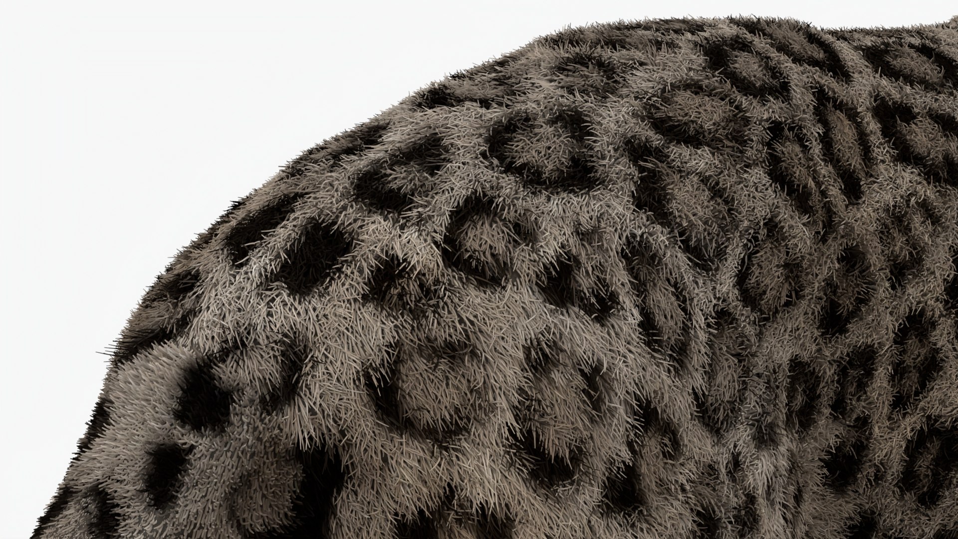 MAYA XGEN FUR Leopard 3D - TurboSquid 2038496
