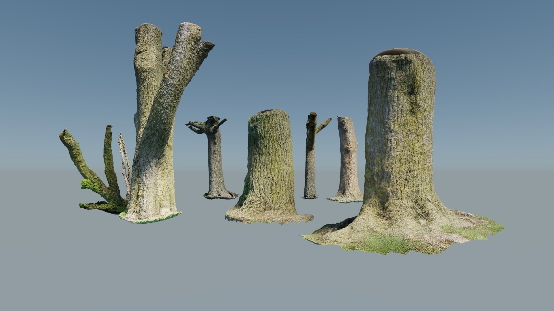 10 Tree Trunks Scans 3D Model - TurboSquid 1178939