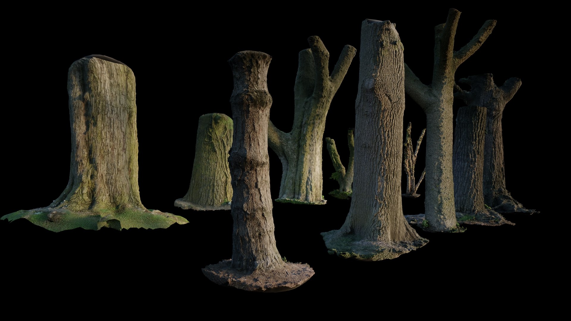 10 Tree Trunks Scans 3D Model - TurboSquid 1178939