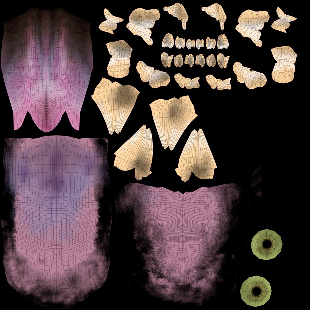 3d Feline Cat Model