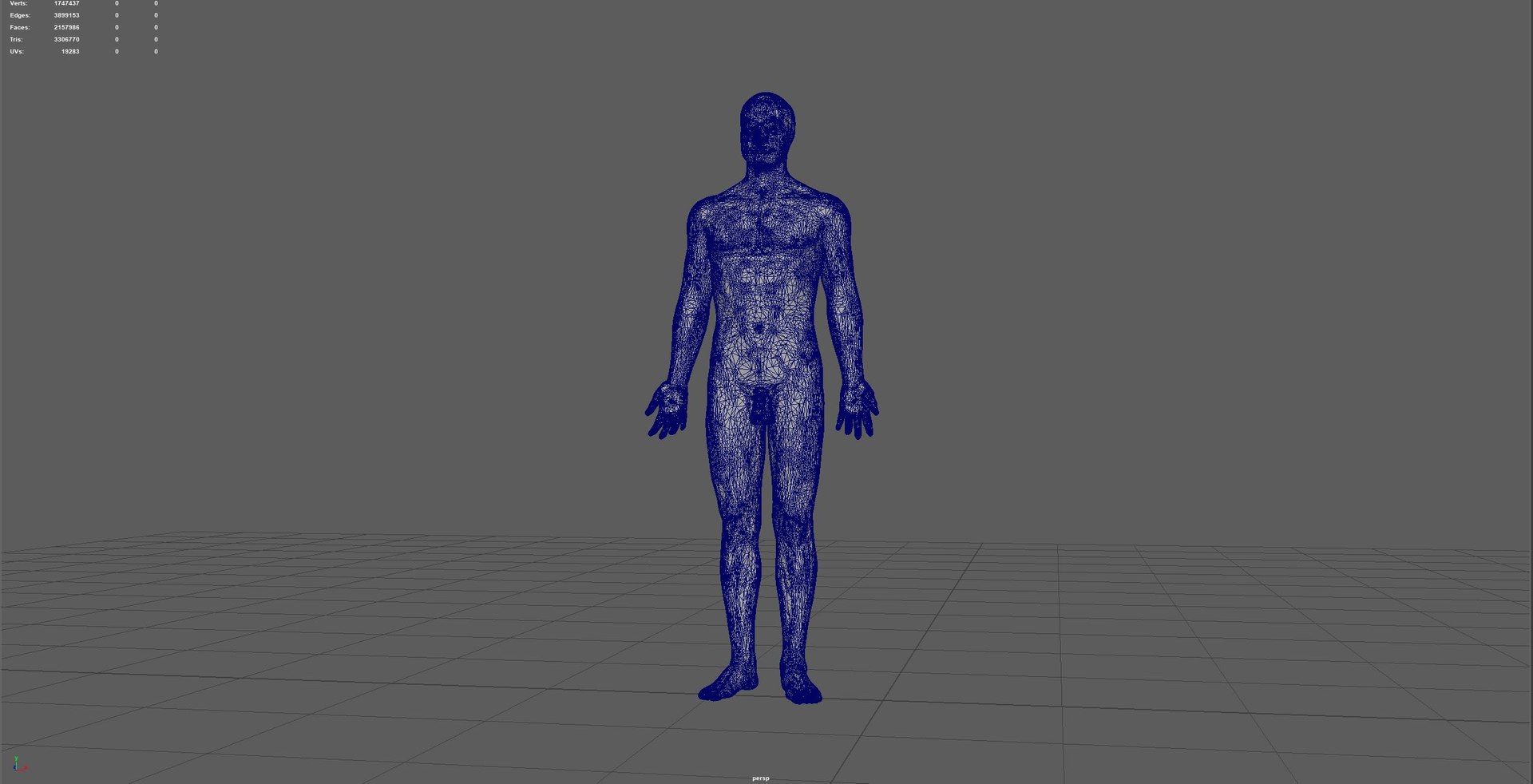Male Reproductive System Model - TurboSquid 1834137