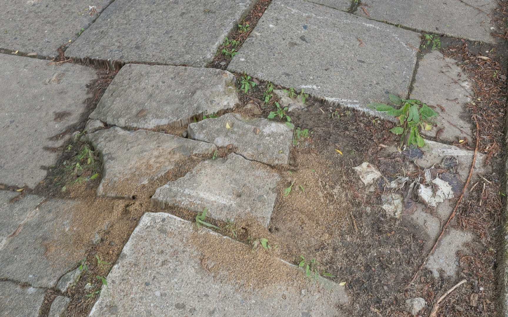 sidewalk pavement scanned obj