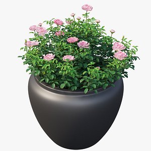 Rose Blender Models for Download | TurboSquid