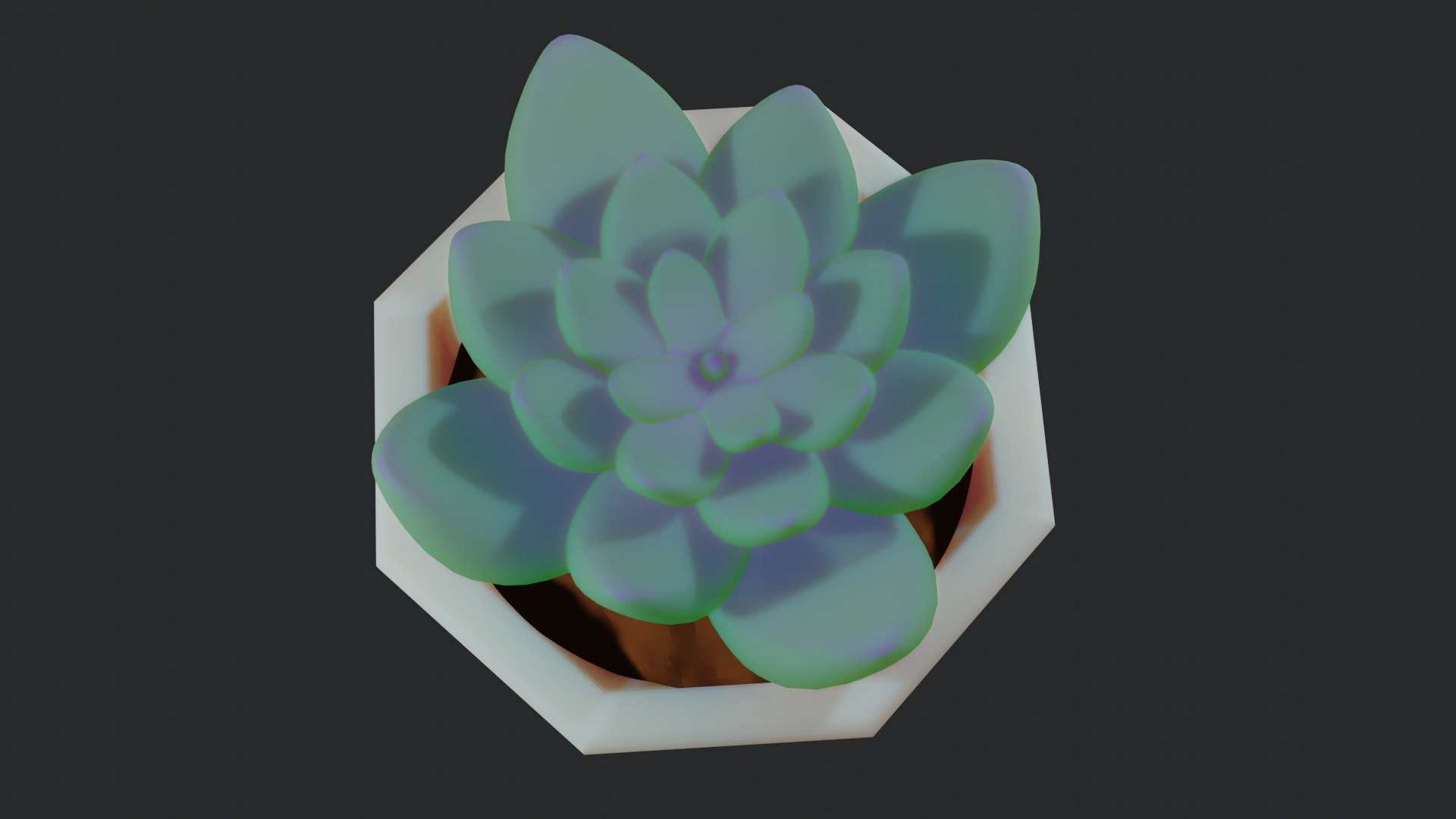 3D Model Succulent Plant - TurboSquid 1505091