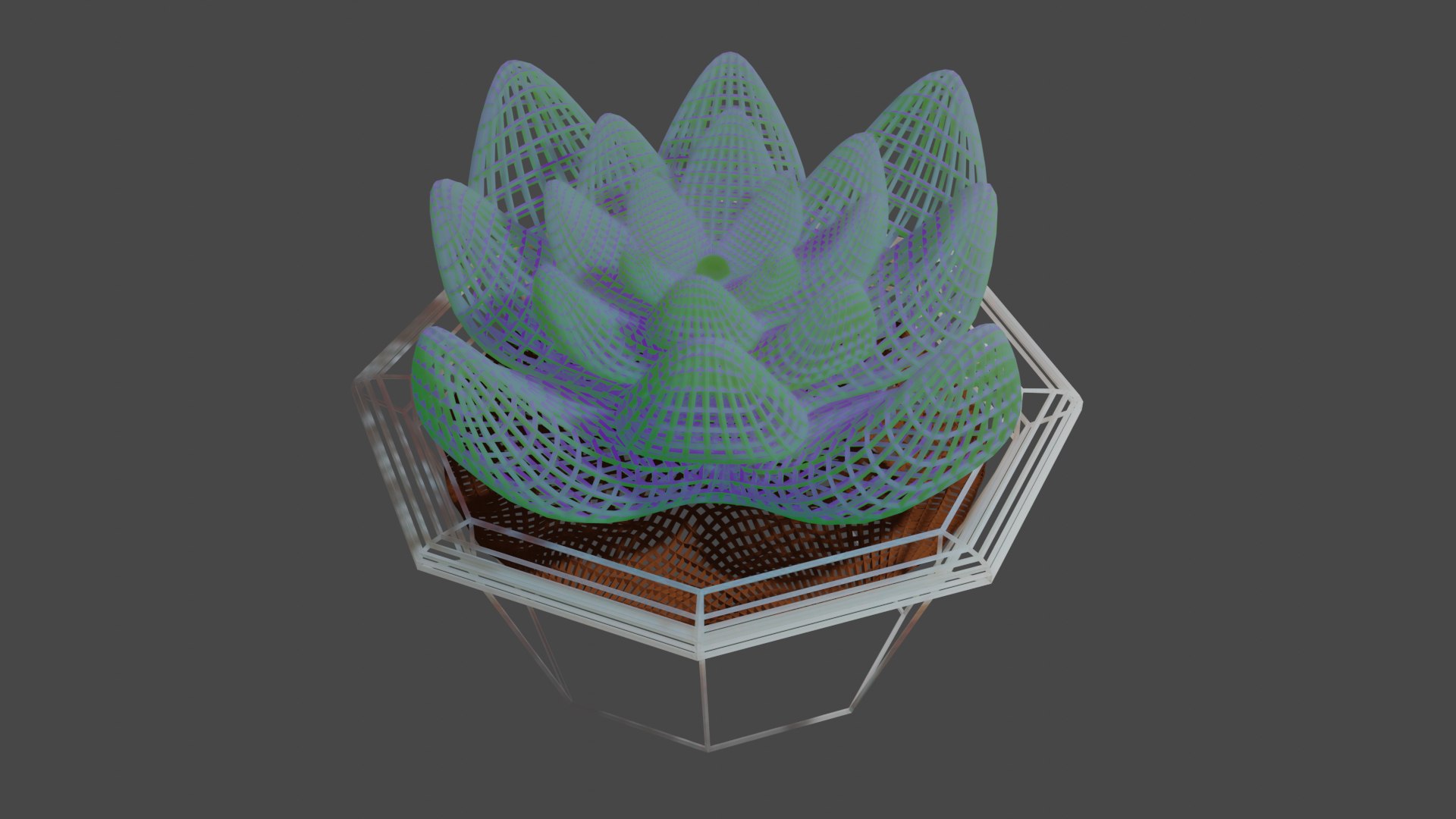 3D Model Succulent Plant - TurboSquid 1505091