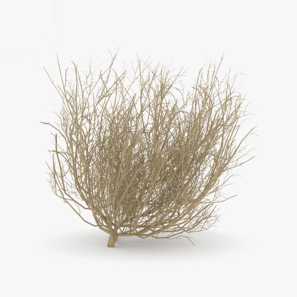 3D Tumbleweed Models | TurboSquid