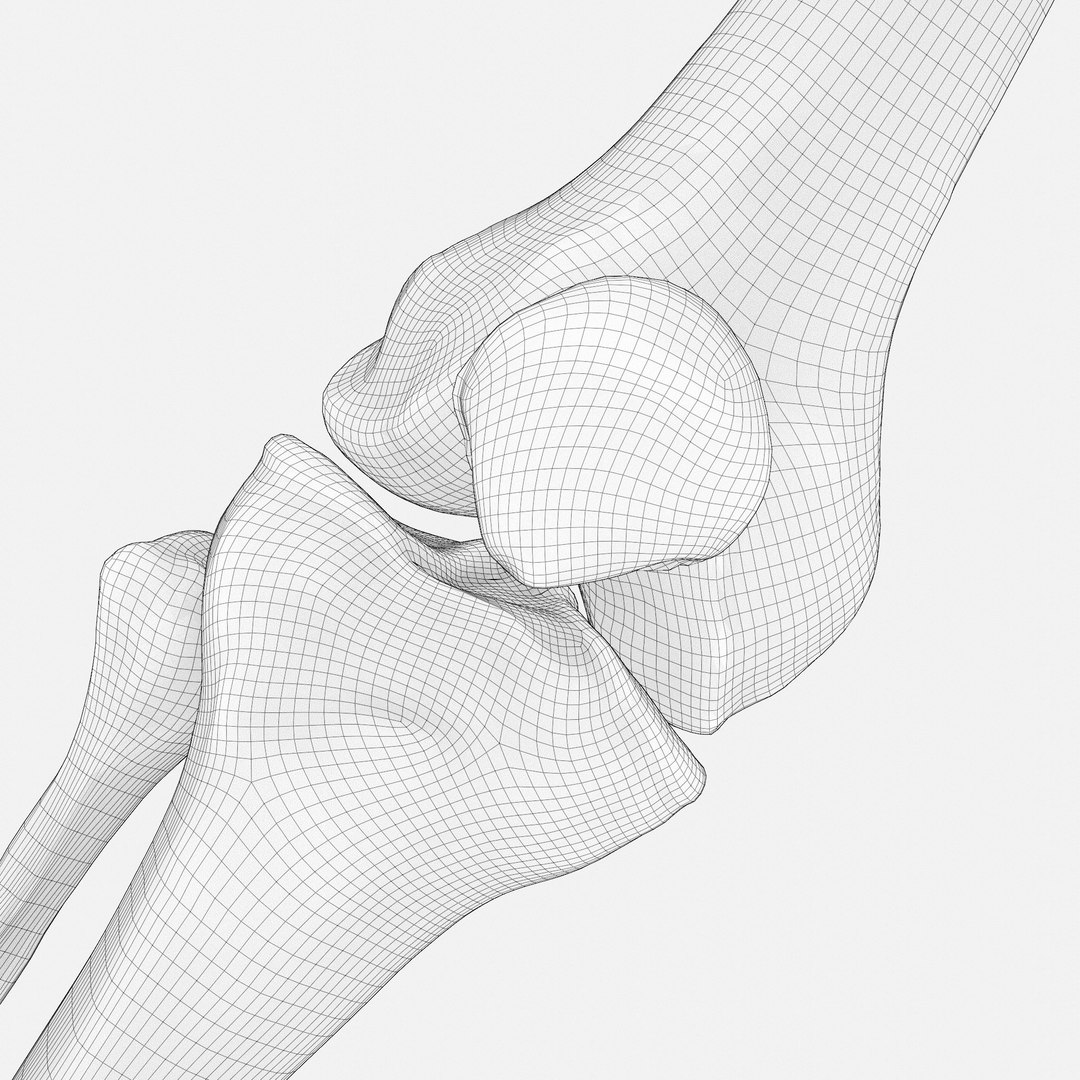 3D Knee Anatomy - TurboSquid 1959434