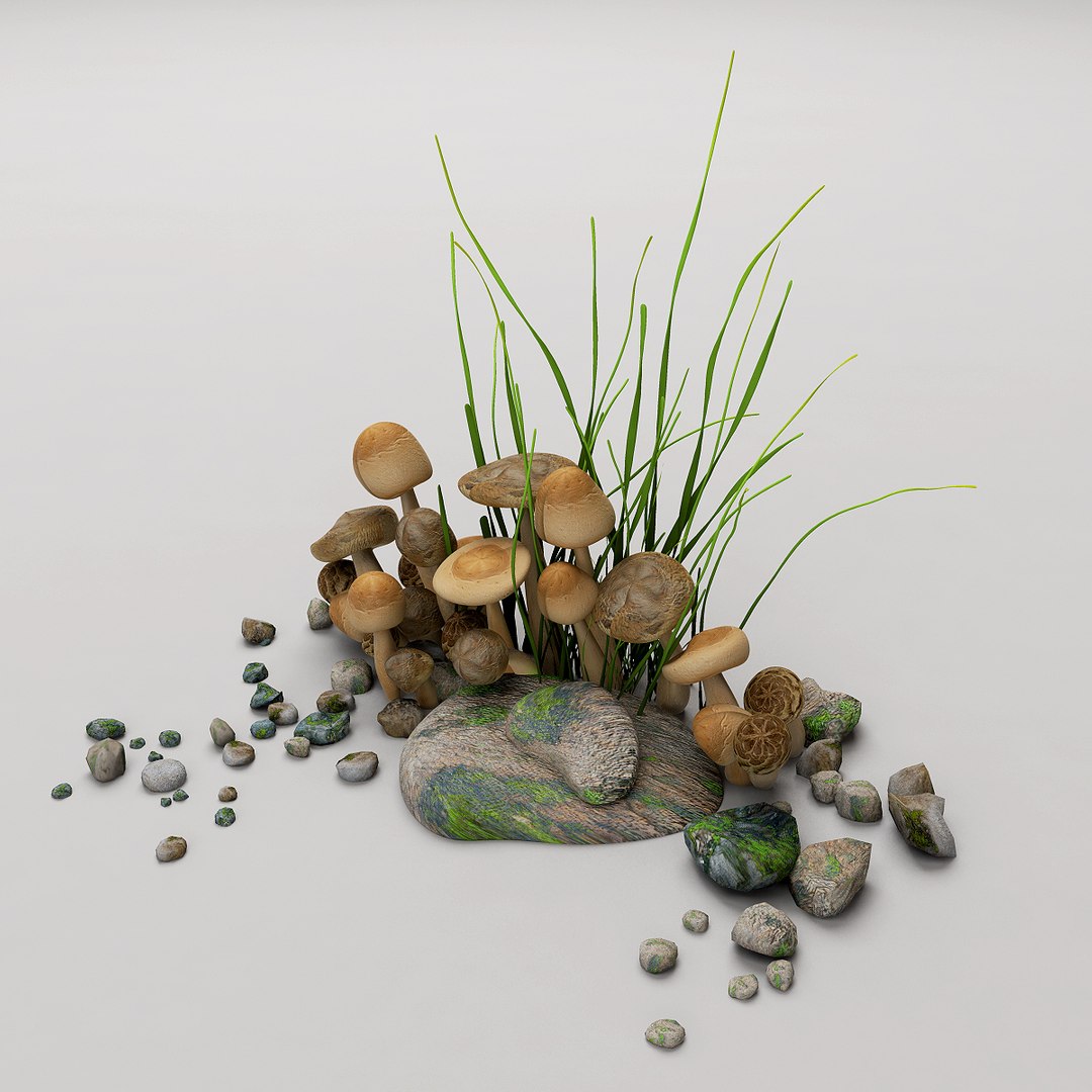 3d Model Scene Mushrooms