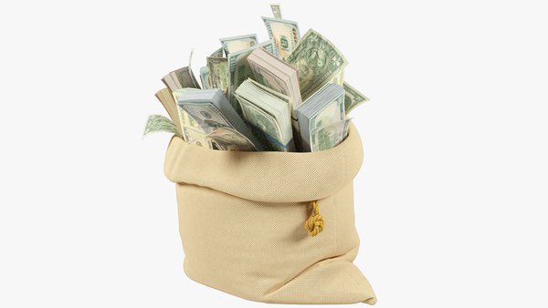 Money Bag and Coins Stacks Collection V2 3D model - TurboSquid 1955343