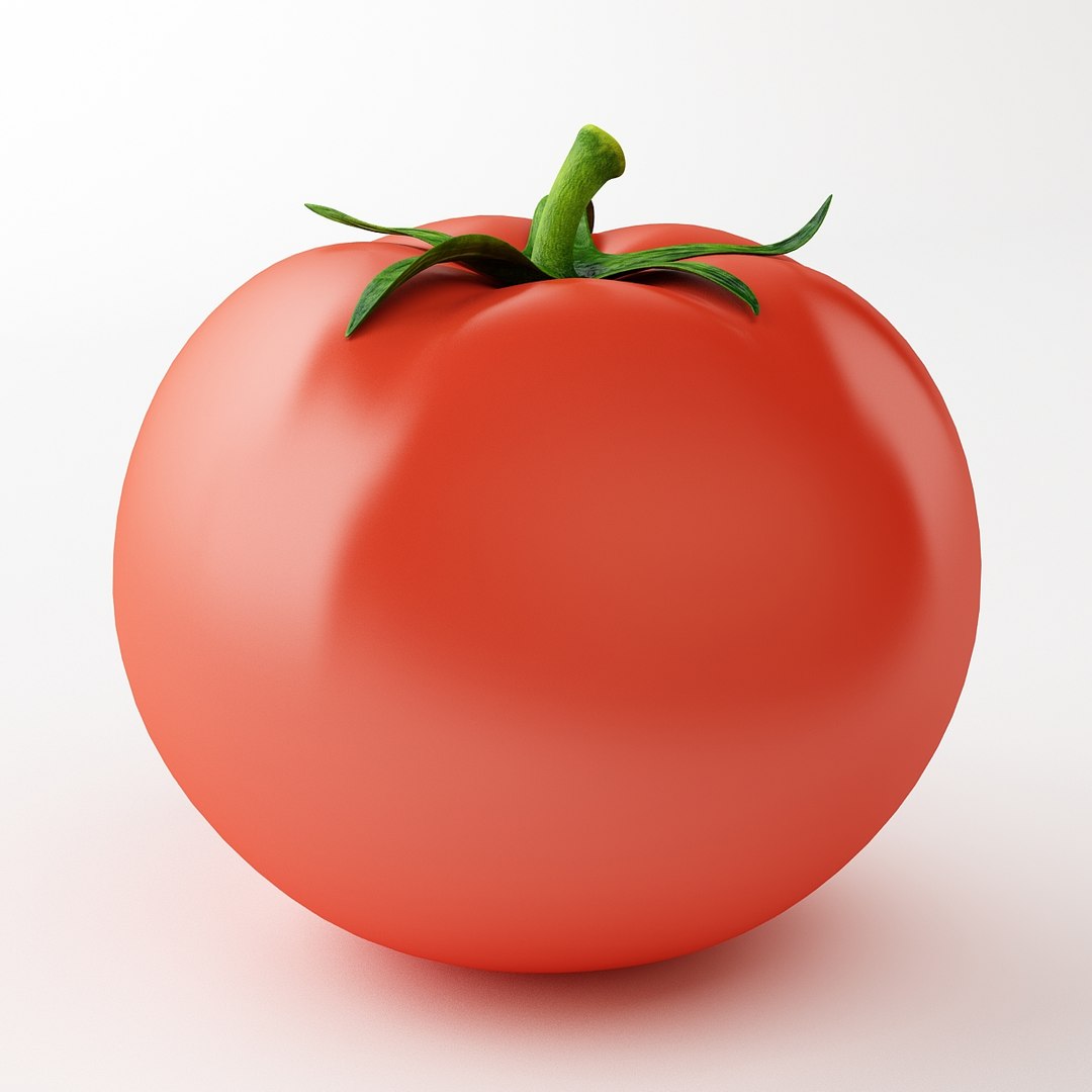 Realistic Tomato Modeled 3d Model