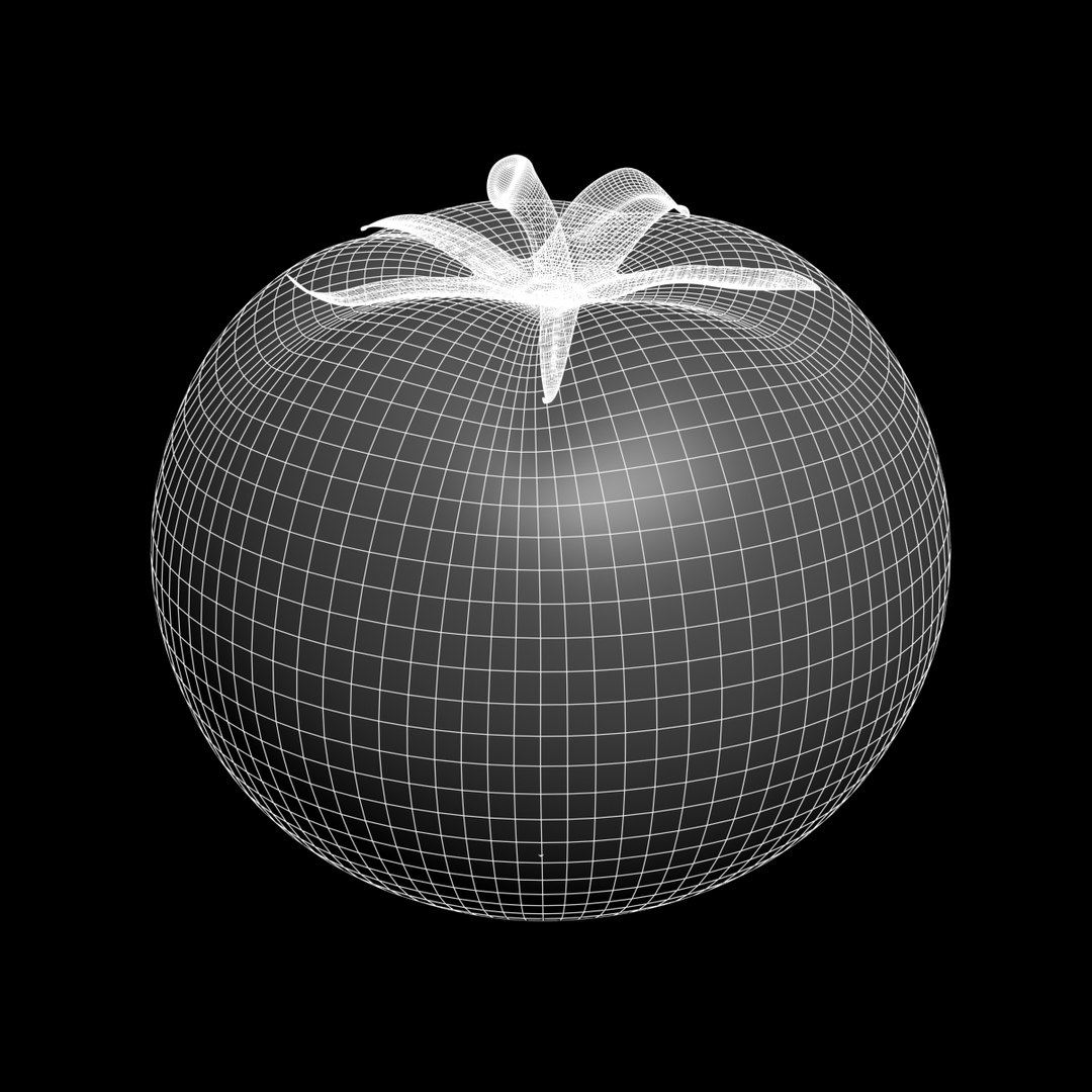 Realistic Tomato Modeled 3d Model