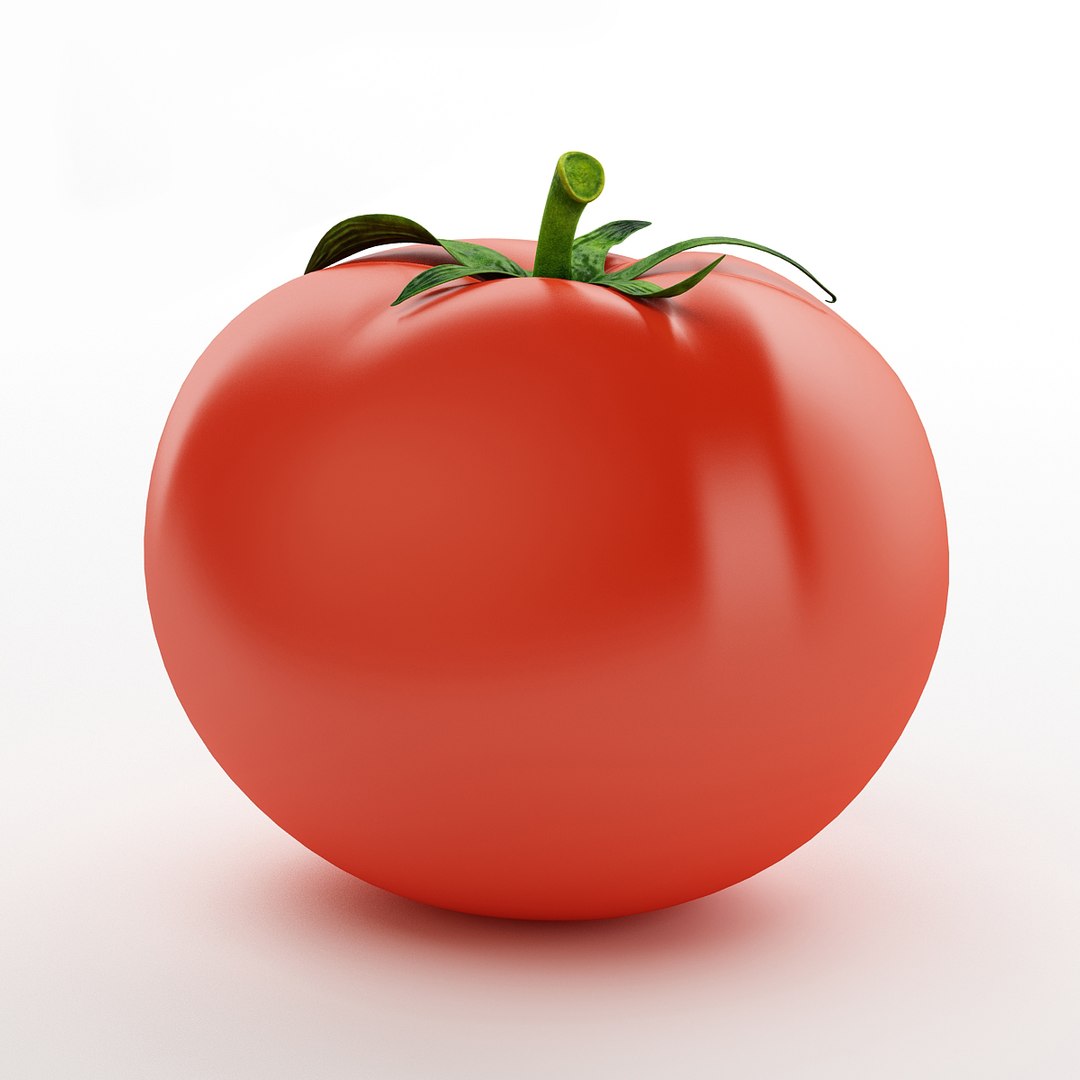 Realistic Tomato Modeled 3d Model