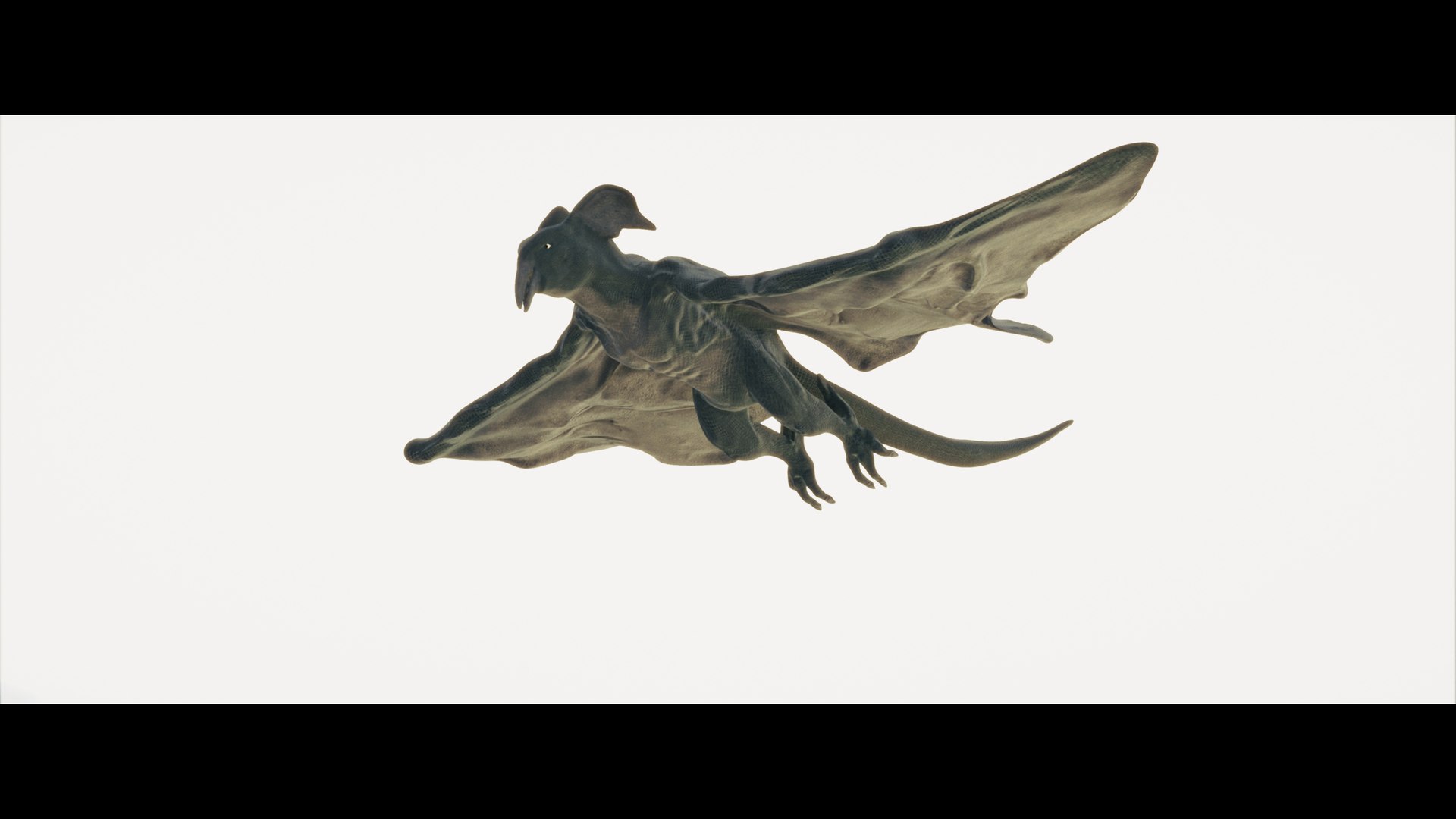 BATRAGON 3D Model - TurboSquid 2365410