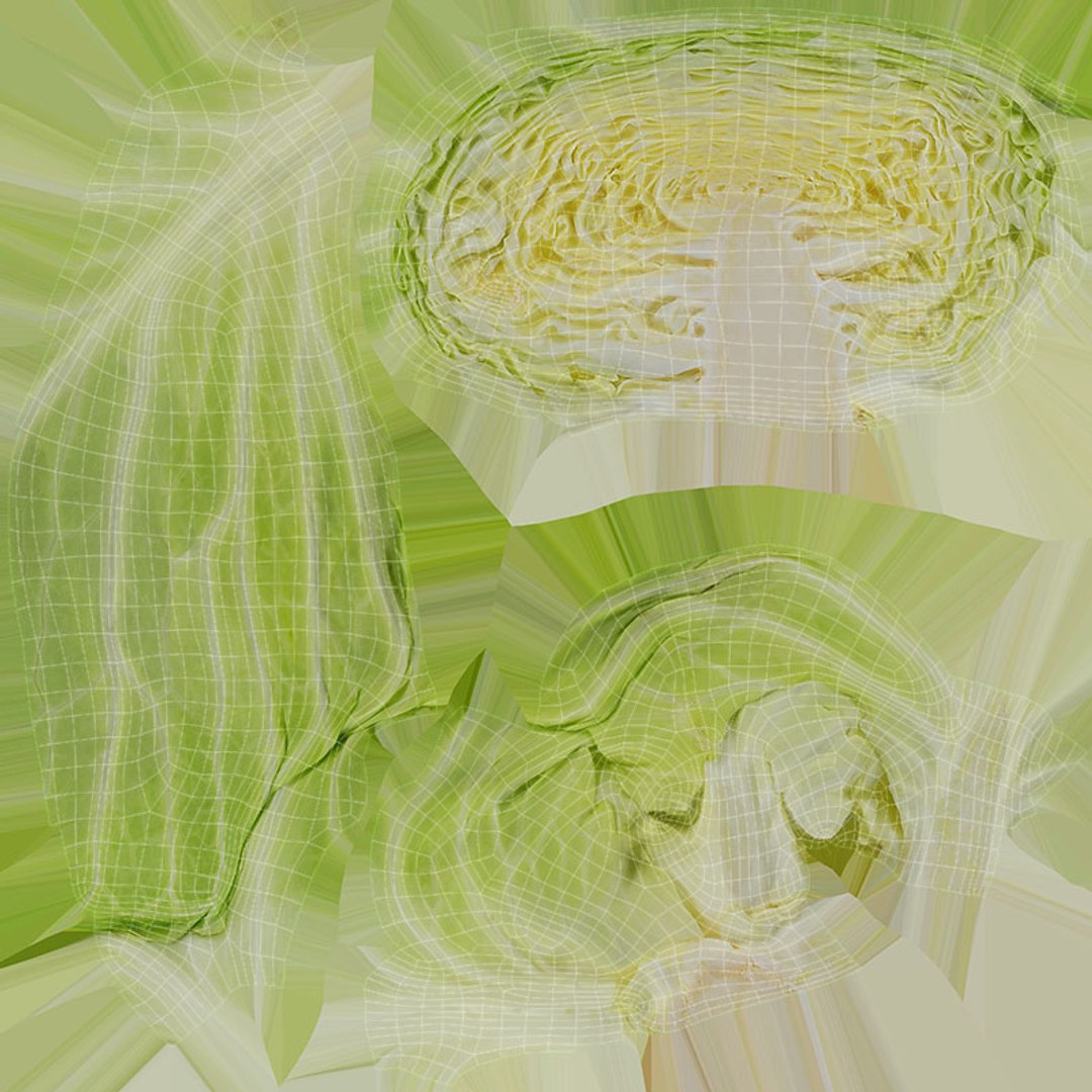 3D Flat Cabbage Collection Model - TurboSquid 2160478