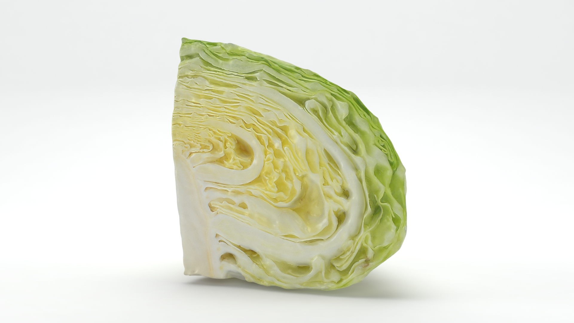 3D Flat Cabbage Collection Model - TurboSquid 2160478