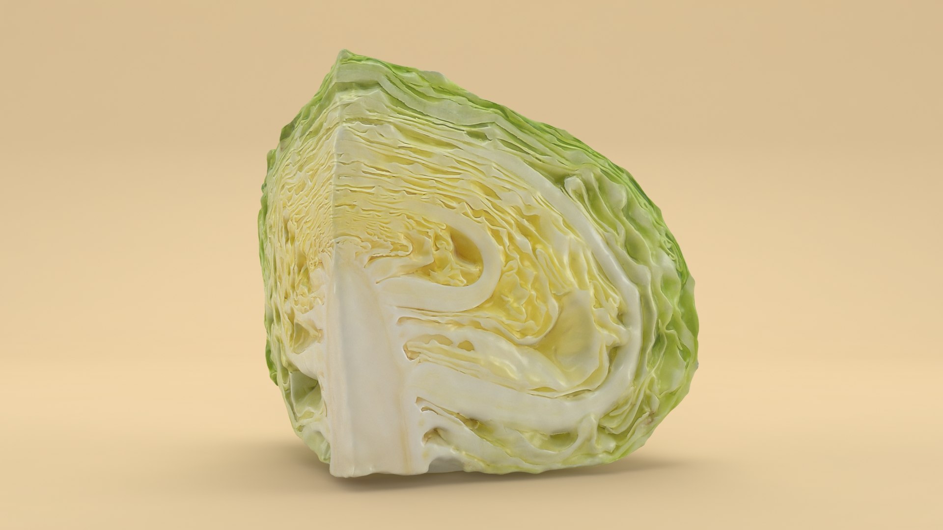 3D Flat Cabbage Collection Model - TurboSquid 2160478