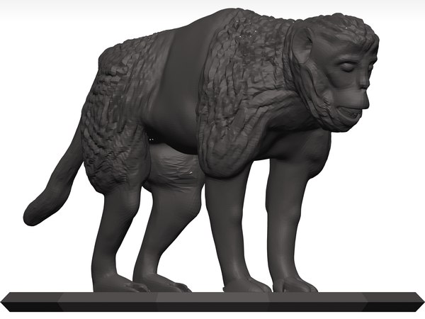 Gelada Stl 3D model - TurboSquid 1774184