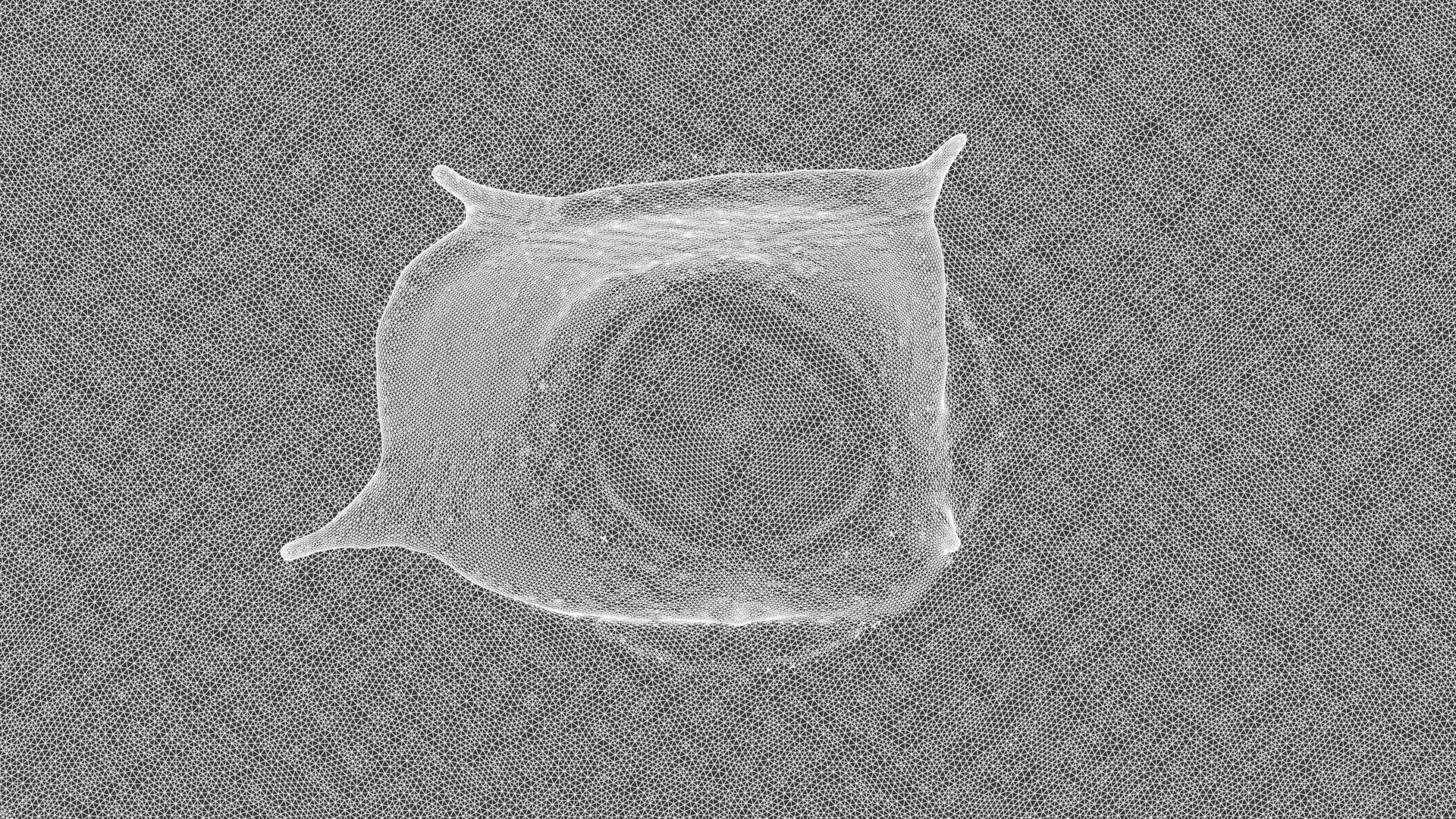 Liquid Crown Splash Realflow Model - TurboSquid 1947882